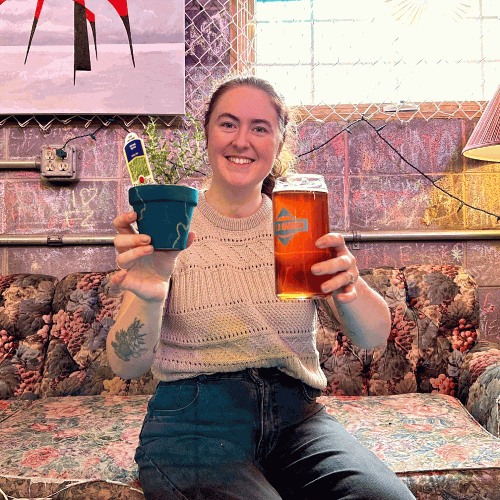 Crafty Mondays: Plant Pot Painting - Cold Garden