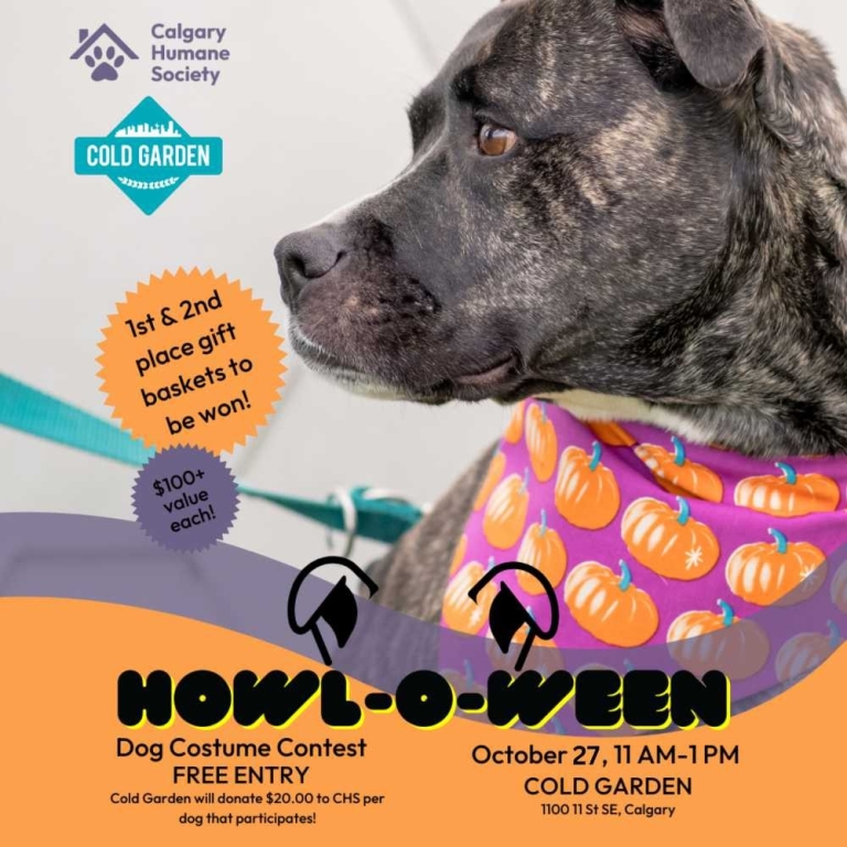The Howl-O-Ween Dog Costume Contest - Cold Garden