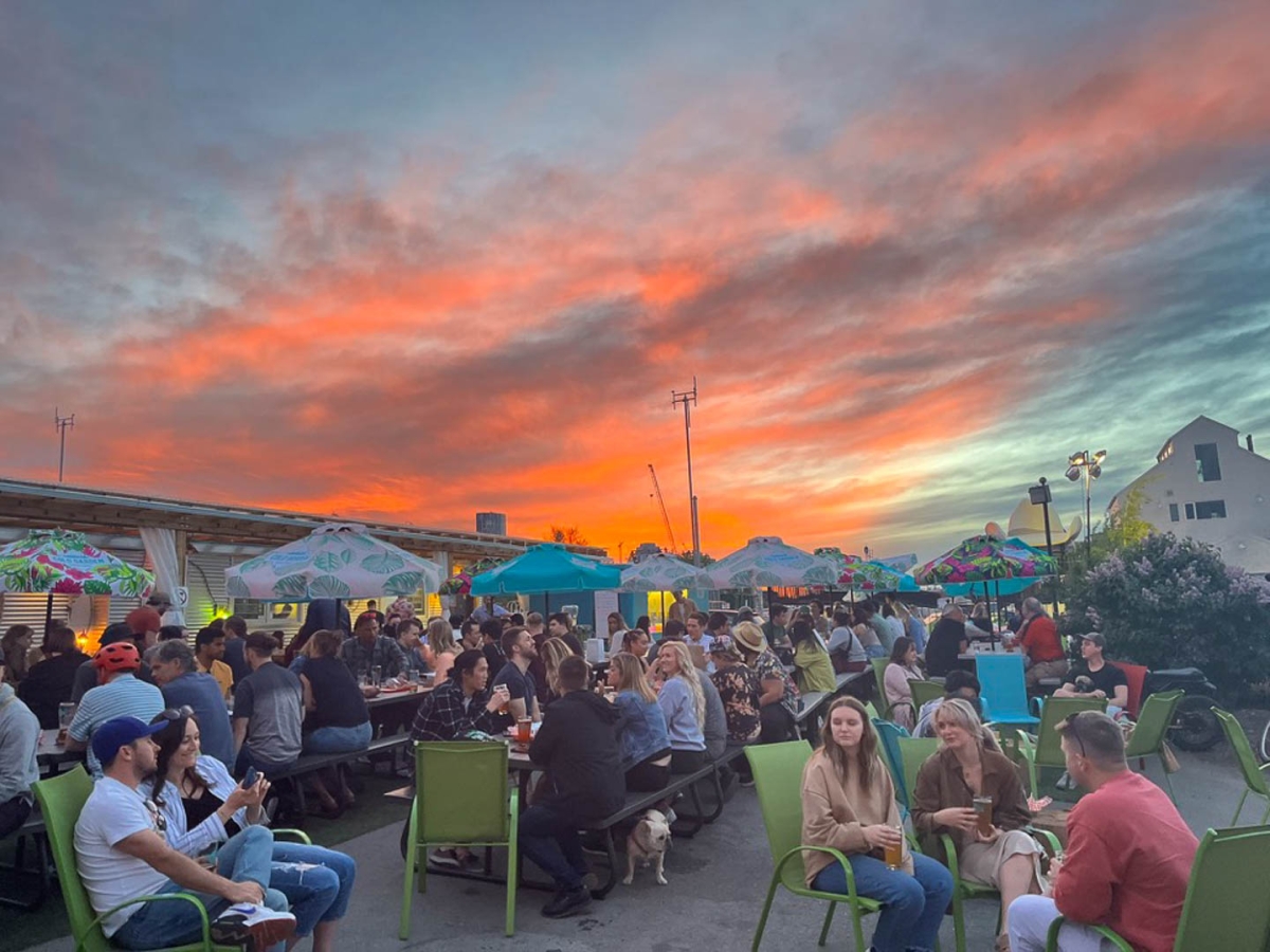 Cold Garden - BEER! - Cold Garden